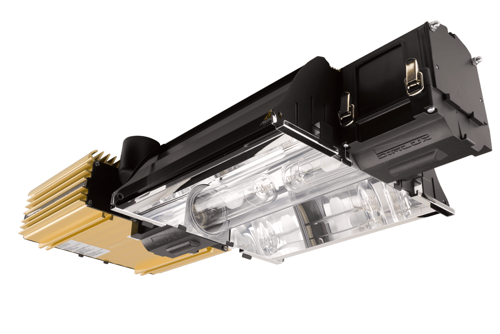 Home | Dimlux | Greatest efficiency in horticulture