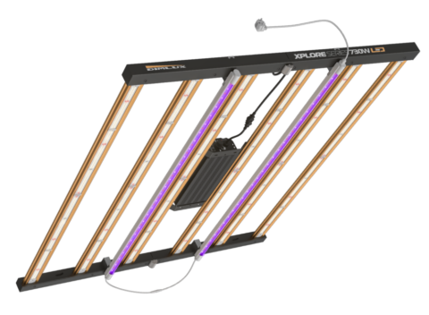 DIMLUX Xplore Series - Dimlux - Greatest efficiency in horticulture